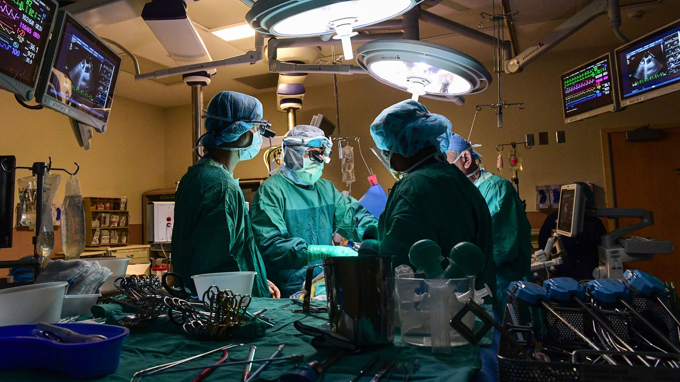 Emory's Best Photos of 2018