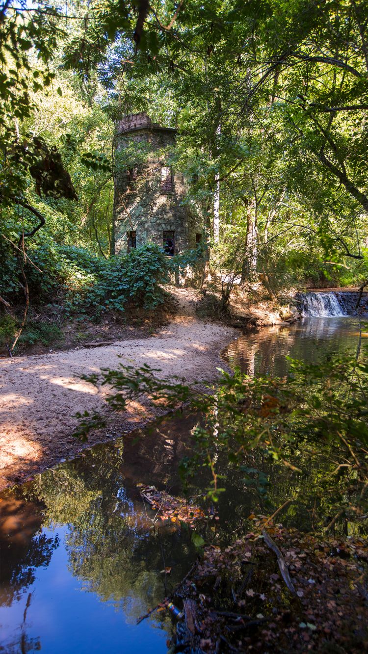 Emory Magazine version