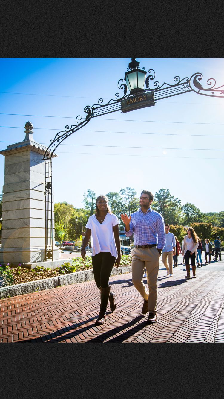 The Trees in the Forest