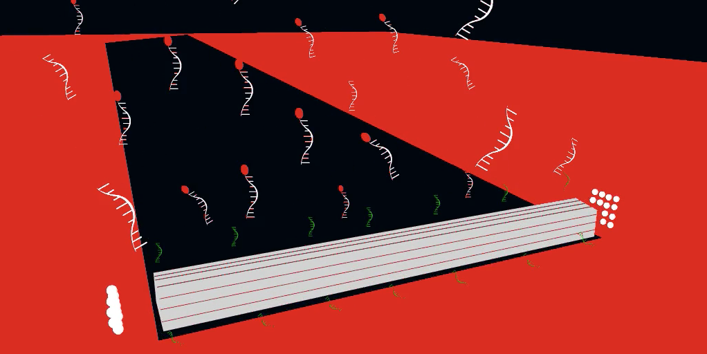 New DNA motor breaks speed record for nano machines