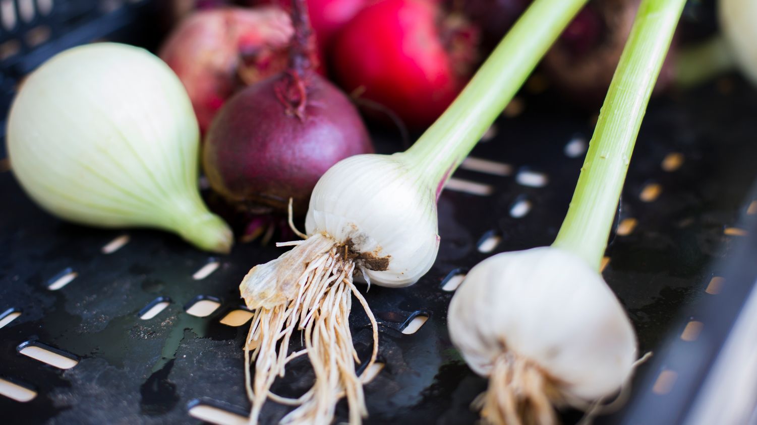 Emory Magazine: Our Sustainable Future: Food