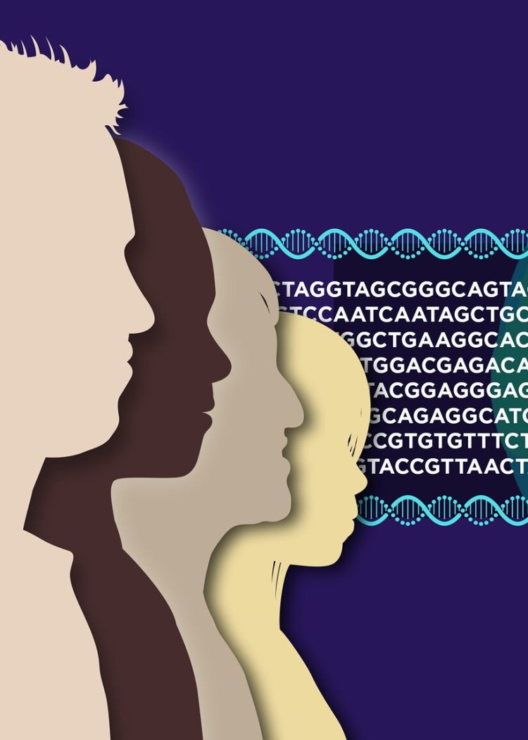 Ancient DNA lab maps little-explored human lineages