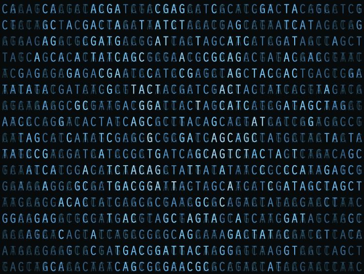 Ancient DNA lab maps little-explored human lineages