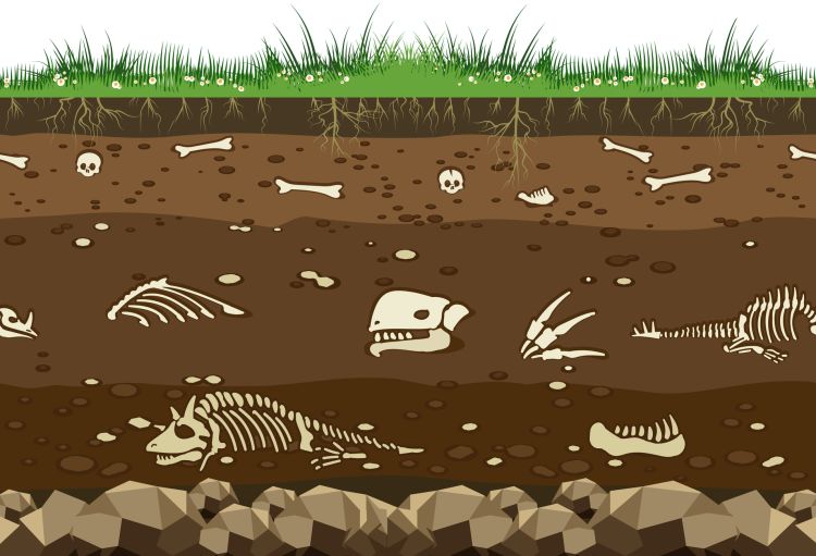 Ancient DNA lab maps little-explored human lineages
