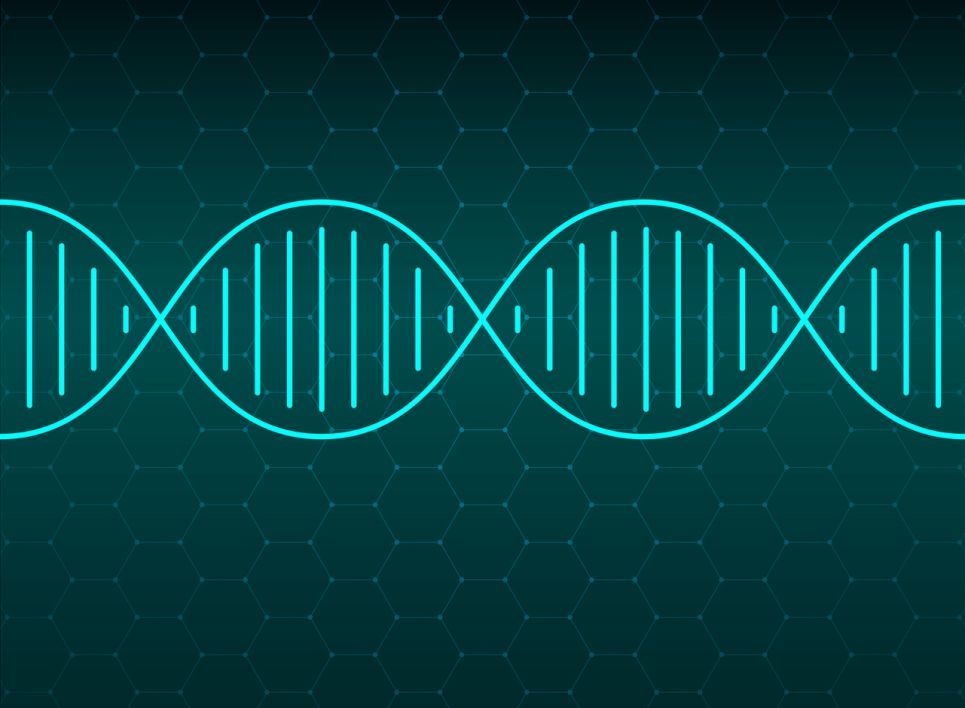 Ancient DNA lab maps little-explored human lineages