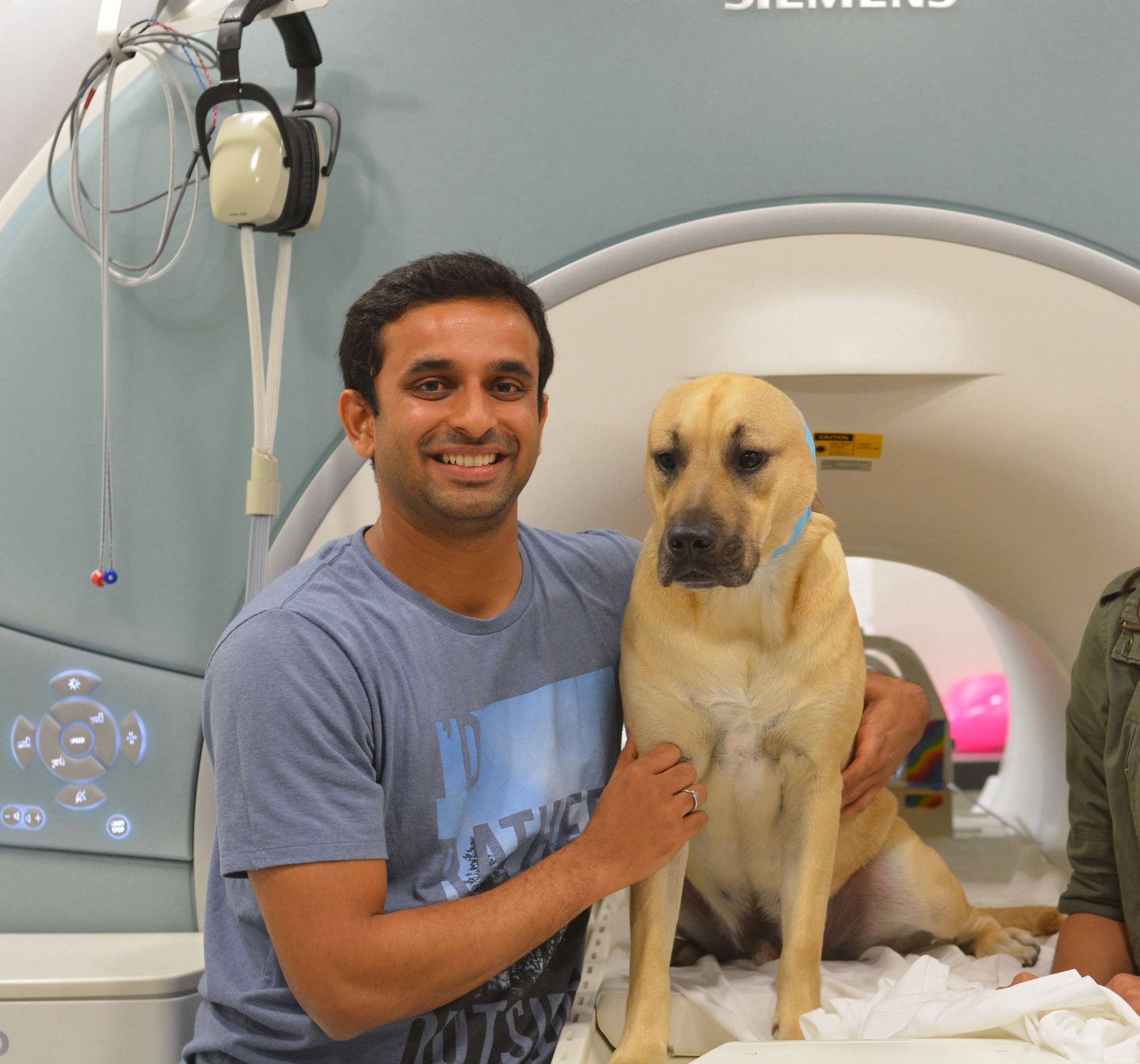 Decoding Canine Cognition