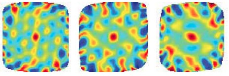 Primates' brains make visual maps using triangular grids